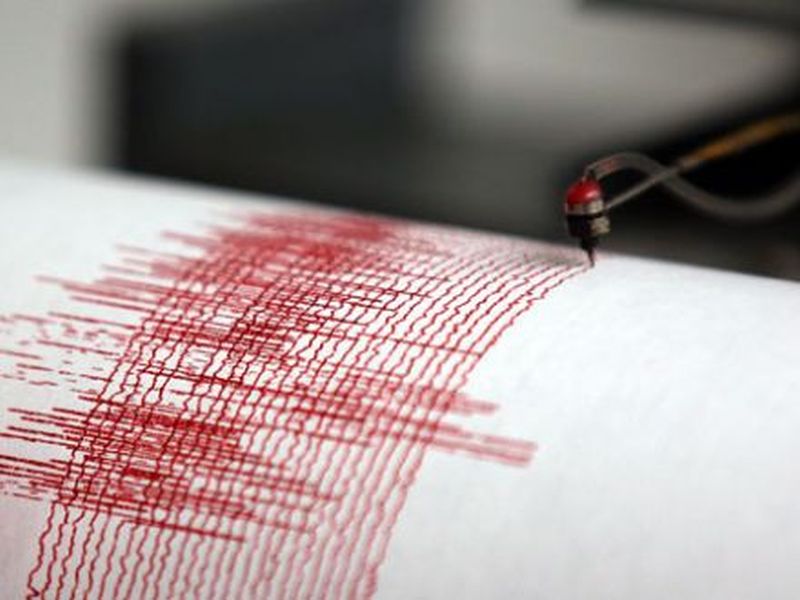 Activitate seismică în România. Un nou CUTREMUR s-a produs joi ...