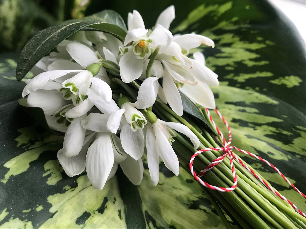 Dor de mărțișor - Sibiu 100