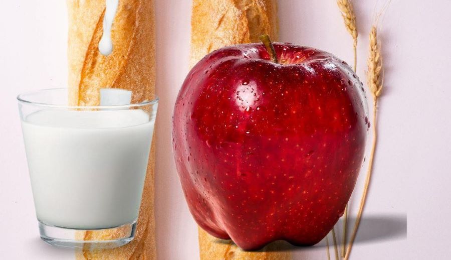 Lapte, fructe și produse de panificație în școli și grădinițe, și în ...