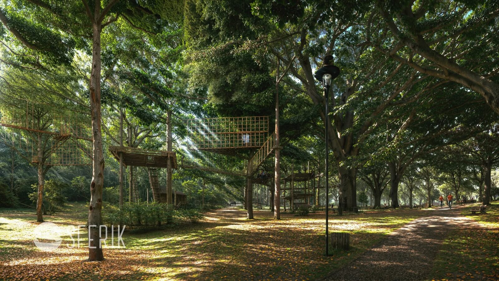 FOTO - Mediașul pregătește o ATRACȚIE UNICĂ: Adventure Park în mijlocul ...